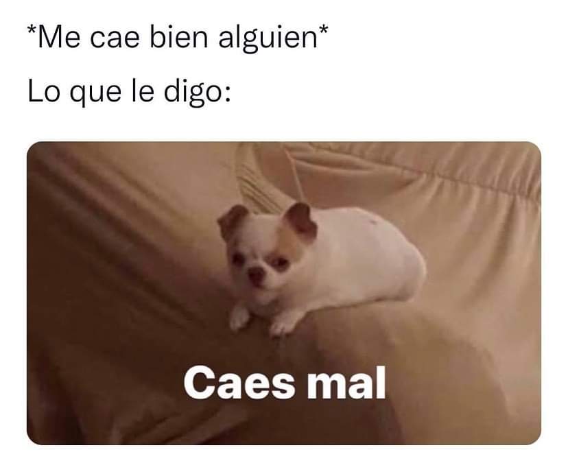 Más de 30 memes de perros que te robarán una carcajada