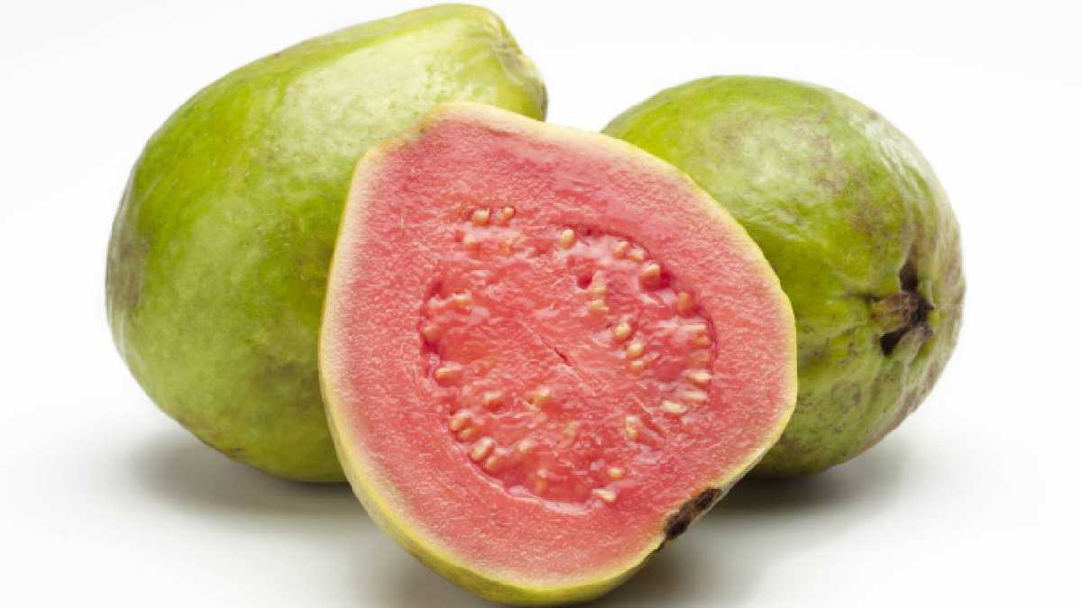 10 beneficios de la guayaba que debes conocer - Plan B